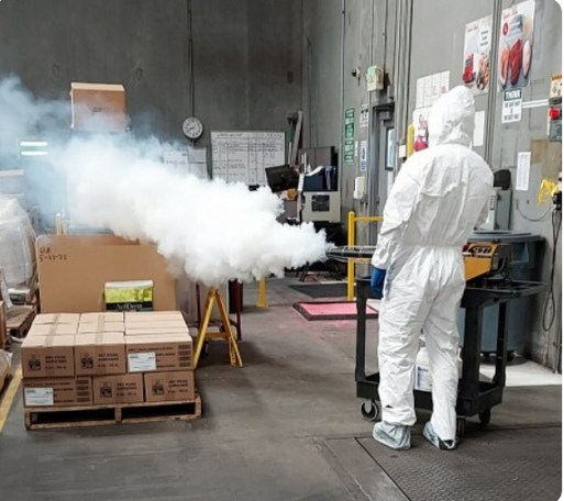 Effective Bed Bug Extermination: Quantum Pest Management Ensures ...