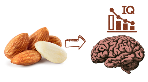 Do Almonds increases brain IQ🧠?? : Fact check. - fitnesss4health - Medium