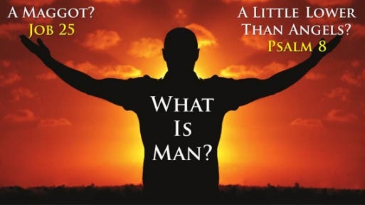 WHAT IS MAN?. This question is not just one that… | by The Kingdom ...