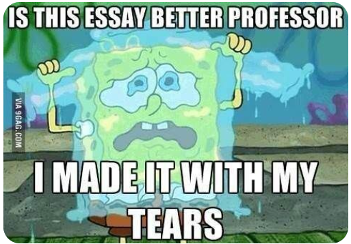 Essay #2 Reflection. I chose this meme for my essay #2… | by Arielhenry ...