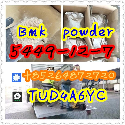 BMK Glycidic Acid Powder CAS 5449–12–7, 80532–66–7 bmk supplier | by Rebeccabio | Medium