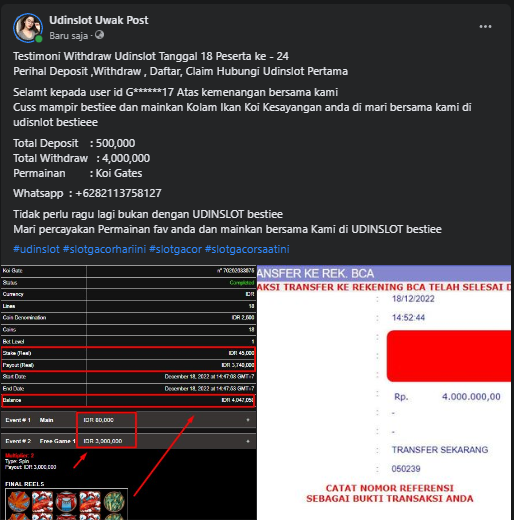 UDINSLOT - Shelly UDINSLOT - Medium