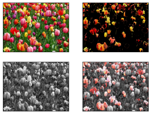 Exploring Color Manipulation in Images with OpenCV: Masking vs. Custom Color Selection | by ...