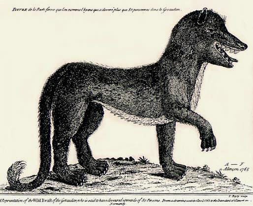 Shapeshifting Werewolf