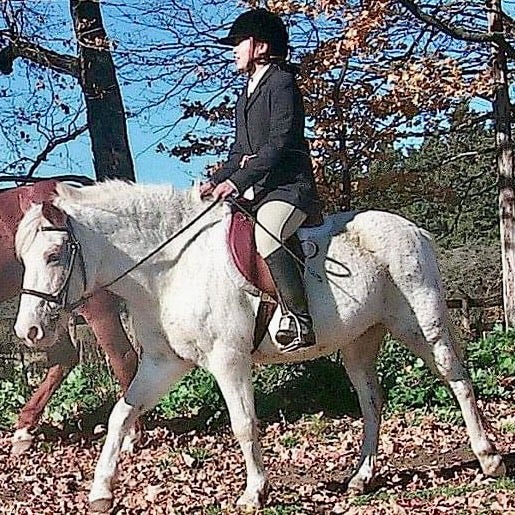 My Pony Died Today. Anna (Dirt Devil) was part of my life… | by Nanette ...
