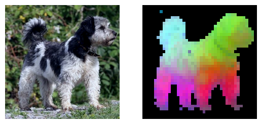 Visualizing DINOv2 contrastive learning and classification examples | by Erik Taylor | Digital ...