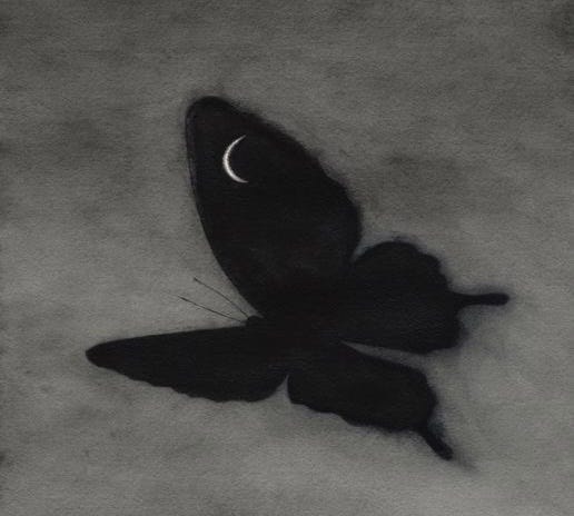 soar away, little wings.. be brave enough to let go of what’s not… | by ...