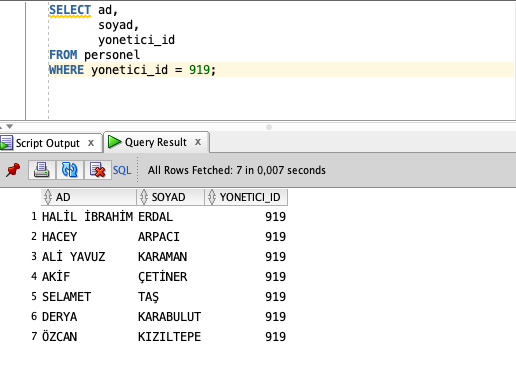 Oracle SQL’de Substitution Değişkenleri | by Muhammed Sefa Taş | Medium