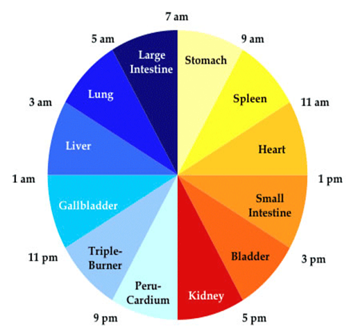 Navigating the Healing Pathways of Acupressure Meridians | by Navya PS ...