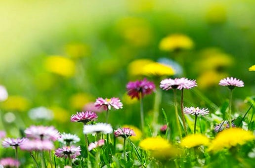 Photography: Beautiful Insanity. PHOTOGRAPHY IS BEAUTIFUL INSANITY | by ...