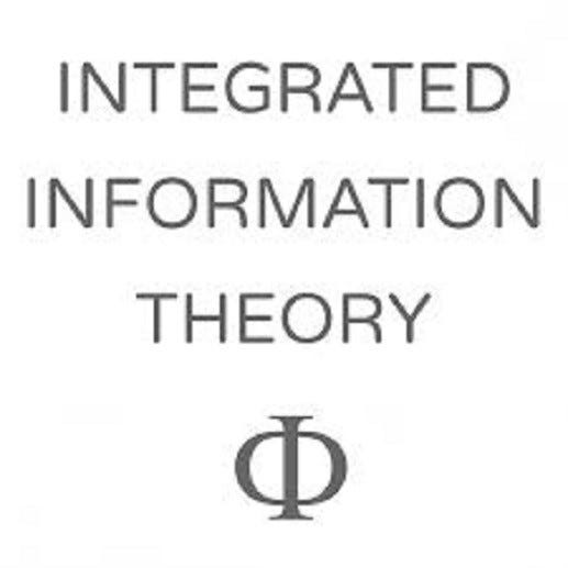Integrated Information Theory: Information | by Paul Austin Murphy ...