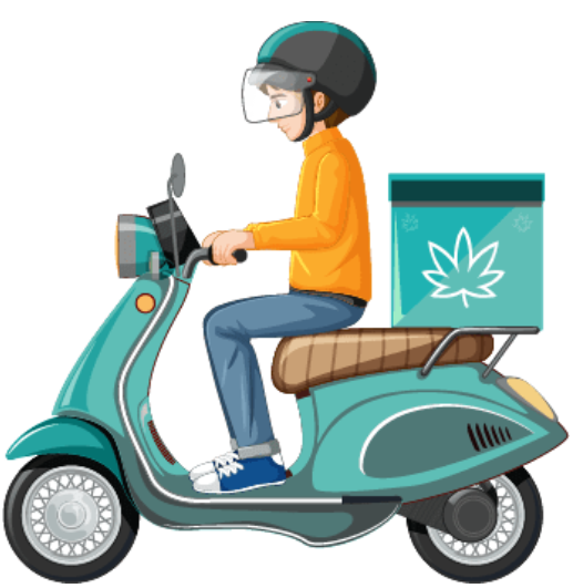 Ant Farm Delivery - Ant Farm Delivery - Medium