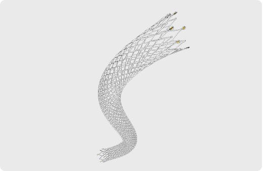 Peripheral Stent System. OVERVIEW | by zyloxtb | Medium