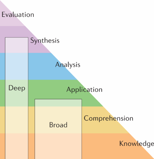 The Art of Mastering New Data: Why Breadth and Depth Both Matter | by ...
