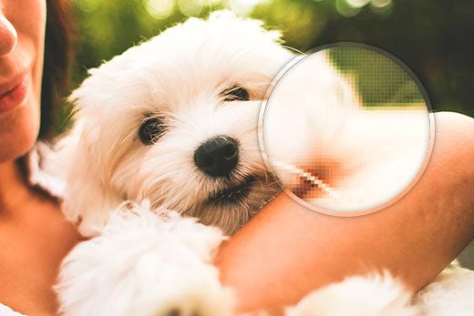 Resize Images Without Losing Quality Best Option To Resize Image