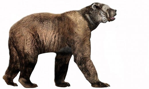 The Giant Short-Faced Bear. A brief history of the largest bear in ...