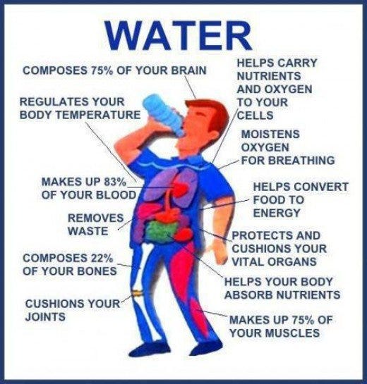 5 Ways Water Helps You Lose Weight and Get In Better Shape | by Josef Brandenburg | Medium
