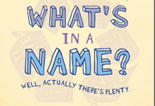 What is in a name?. What is in a name? When Shakespeare… | by ...
