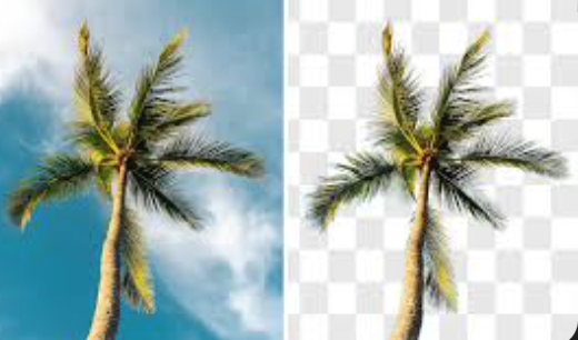 I Built Passive Income Tool #1 in Under 50 Lines of Python: The Smart Background Remover | by ...