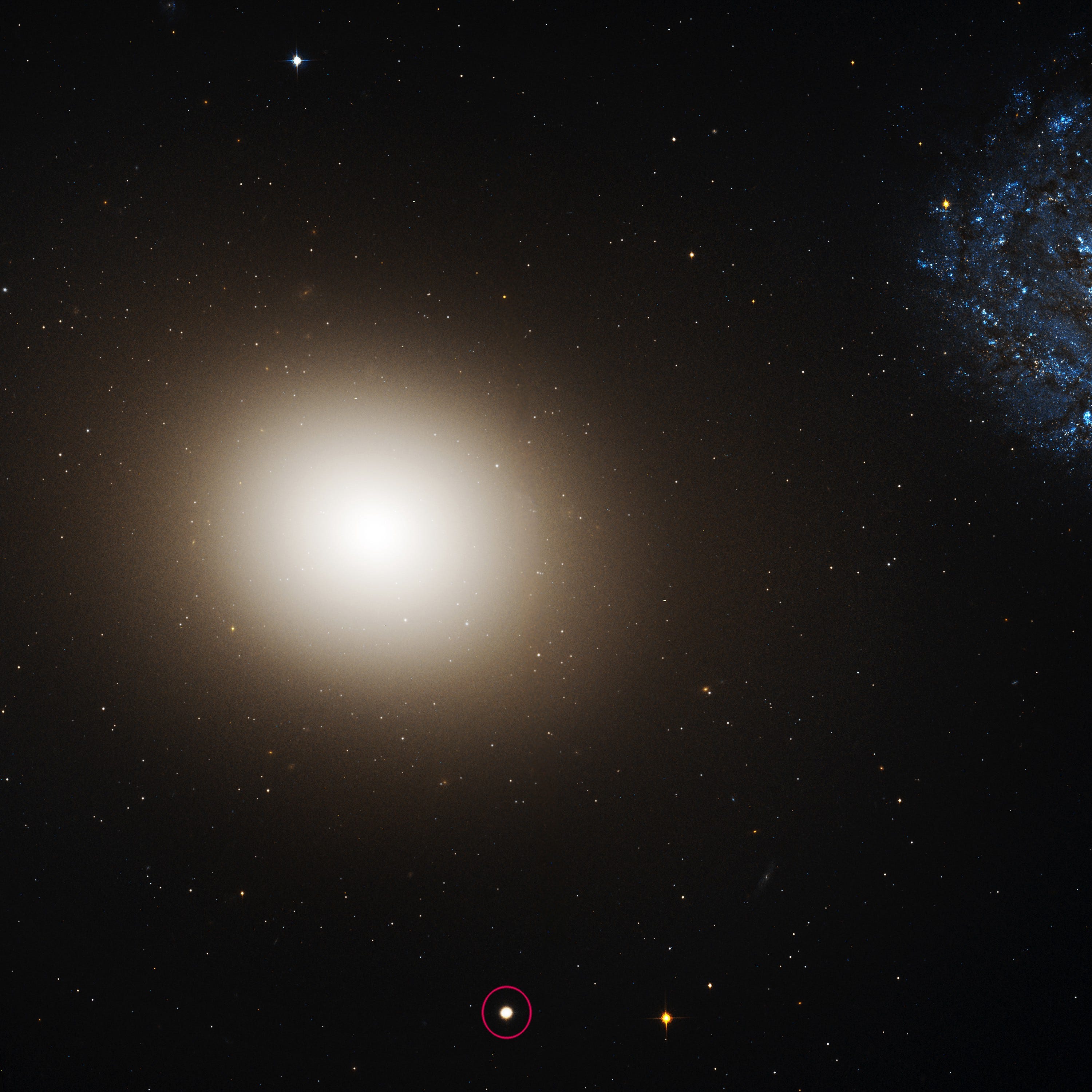 Dwarf Elliptical Galaxies