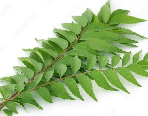 “Harnessing the Power of Curry Leaves: Boosting Health Naturally” | by ...