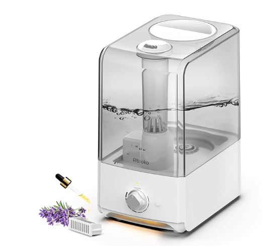 Revolutionizing Room Humidification: A Review of the Rbioko 6.5L ...
