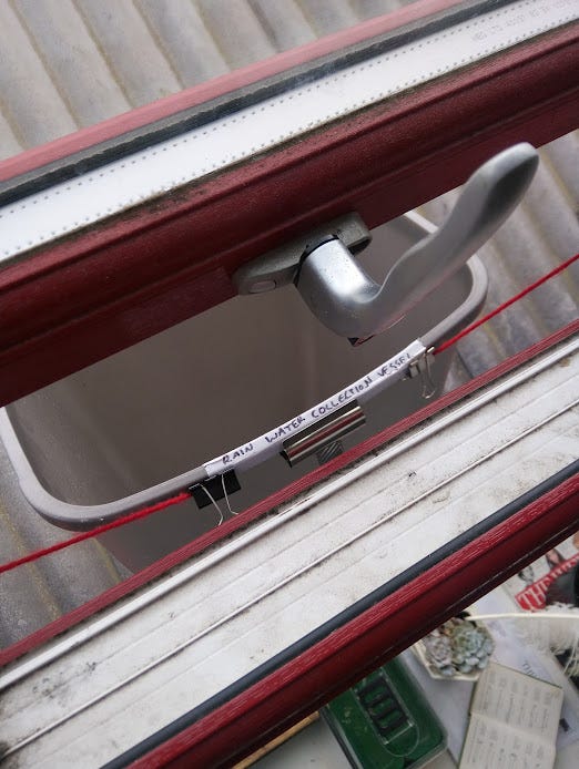 Water collection vessel (bin). Following the lesson I had in… | by ...