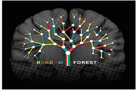 Mastering Random Forest Algorithm By Simon Kamande Medium