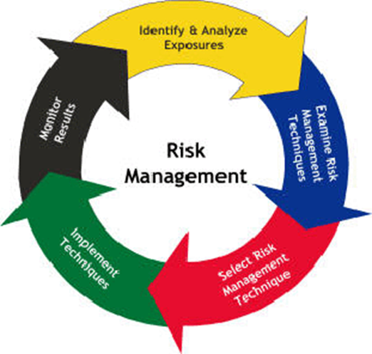 Risk Management Process In Project Management