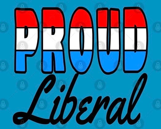 I’m a Liberal and Believe You Should Be Too | by Bradley Neece | Medium
