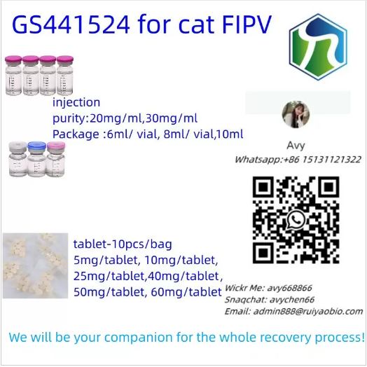 gs-441524 for cat fipv. Our company produce gs441524 , gs… | by avy ...