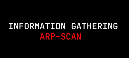 Lab 24 — Using ARP command for network reconnaissance | by Hassen ...