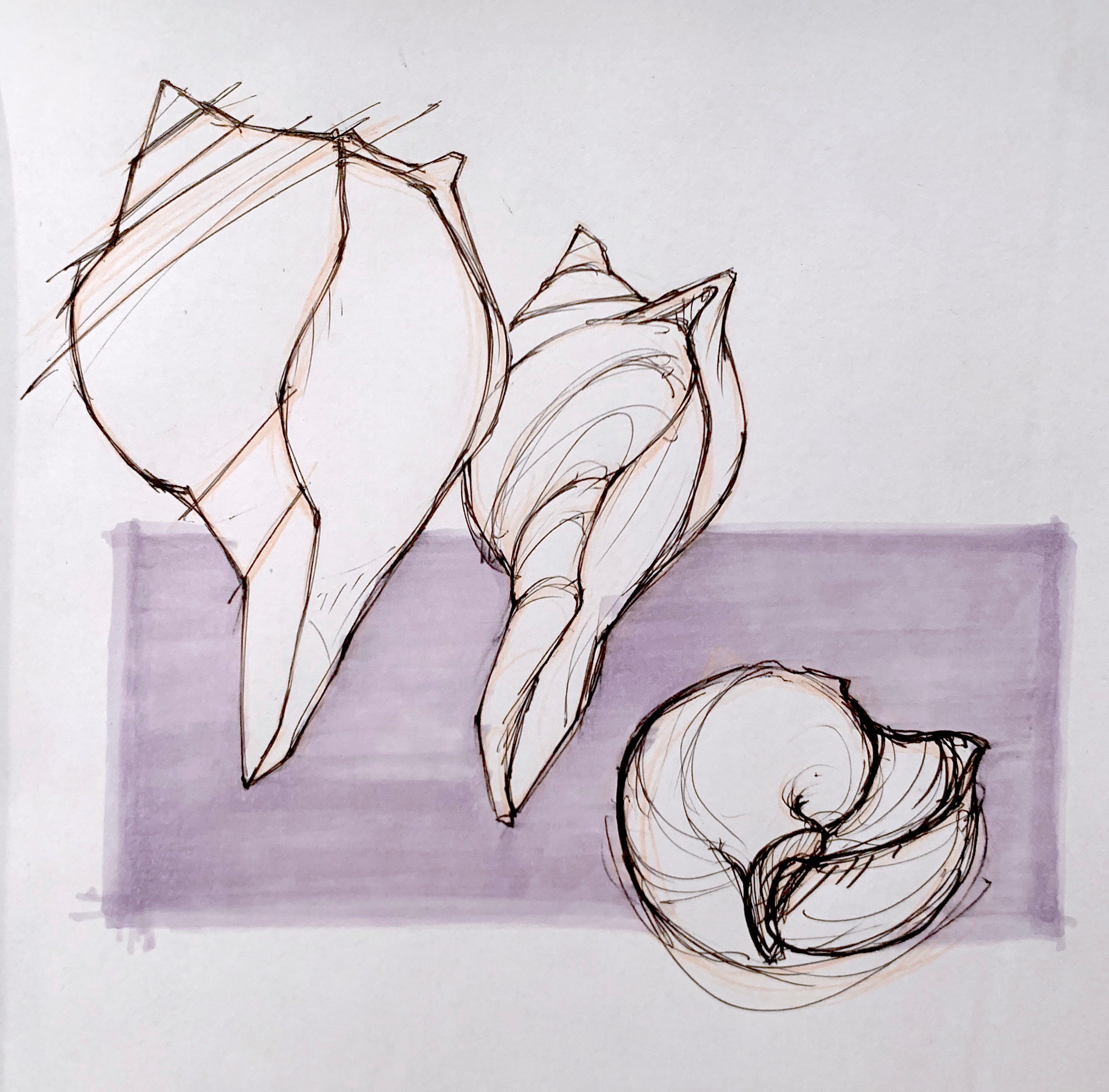 Line Drawing Natural Forms