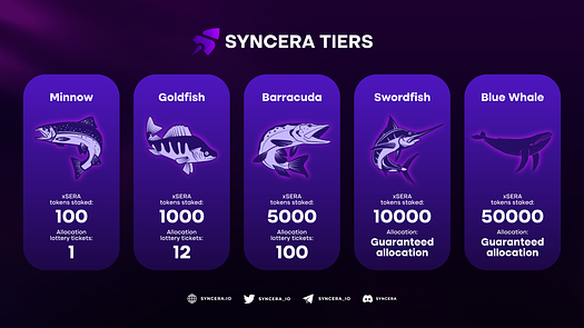 Syncera is the first community-driven IDO platform with all-in-one solutions for a growing… | by ...