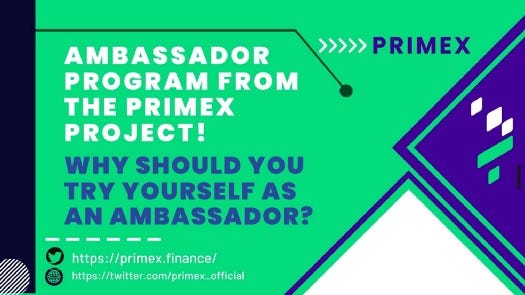 📘 Ambassador program from the Primex project! Why should you try yourself as an ambassador? | by ...