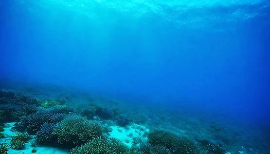 DEEP WATER UPSCALED BACKGROUND IMAGES - Nobgfx Graphic Designer - Medium