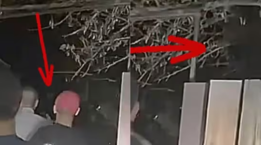 Watch~[VIRAL]~VIDEO: Alien Video Las Vegas | by Telca | May, 2024 | Medium