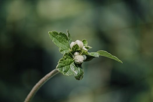 Advanced Error Handling with Spring Boot and Circuit Breaker Patterns ...