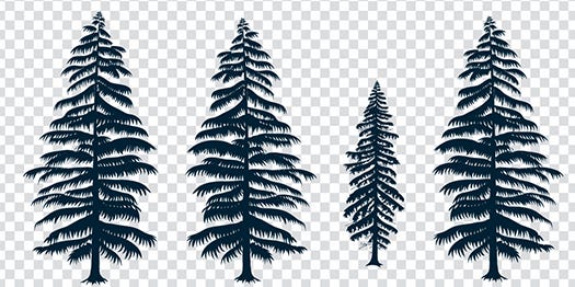 Spruce tree trunk and branches - Nobgfx Graphic Designer - Medium