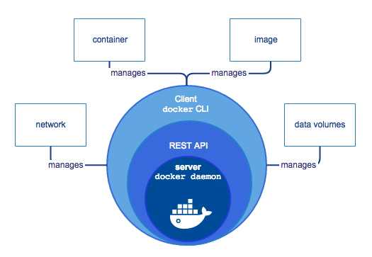 Deep Dive into Docker. What is Docker | by Adnan Latif | Medium