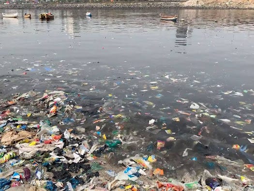 Earth5R’s Mithi River Community Cleanup Model | by Prachipandey | Oct ...
