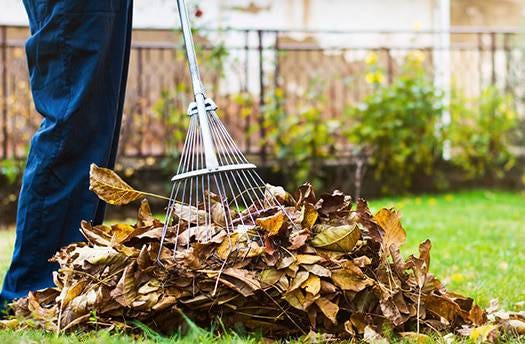 The Ultimate Guide to Seasonal Cleanup and Maintenance in Providence ...