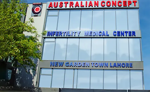 Demystifying the Australian Concept: A Deep Dive into Holistic ...