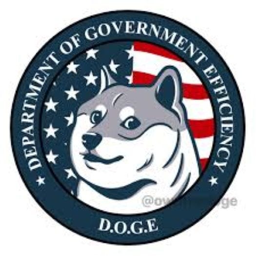 How Come the Liberals Don’t Have a DOGE Plan? | by Mike Weisser | Medium