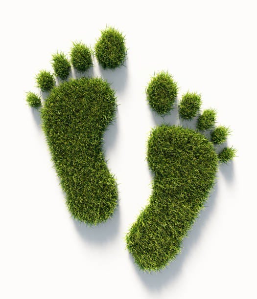 Build a Clean Footprint for Our Future Generation | by Solwearth ...