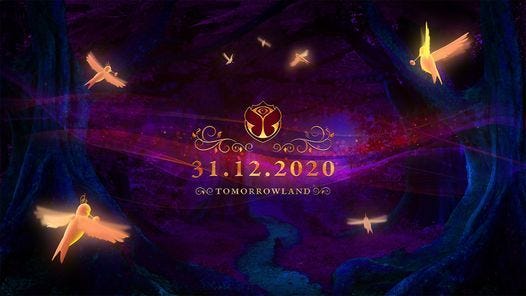 Welcome — Tomorrowland 31.12.2020 Live Stream | by Hermanmichael | Medium