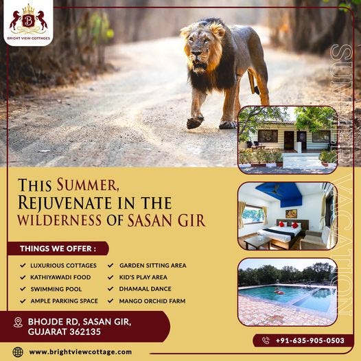 Best Resorts in Sasan Gir — Bright View Cottage | by Bright View ...