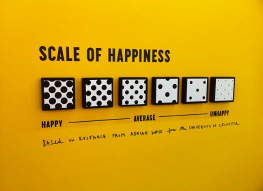 THE HAPPINESS EXPERIMENT. Hypothesis test the shit out of your… | by ...