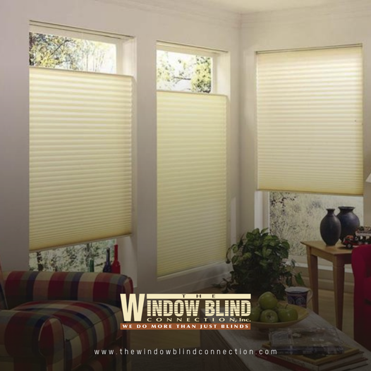The Window Blind Connection offers an extensive range of stylish window coverings that are ...