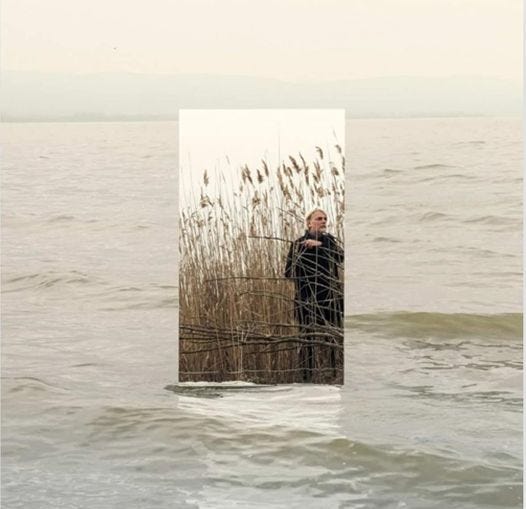 Paolo Benvegnù: E’ inutile parlare d’amore | by Riccardo Rashid Osti ...